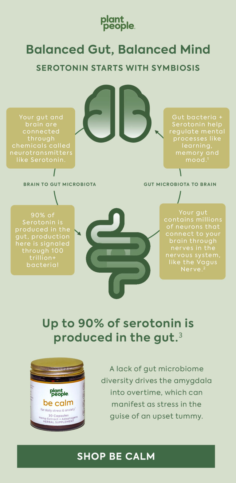 How to choose the best font for your next email design