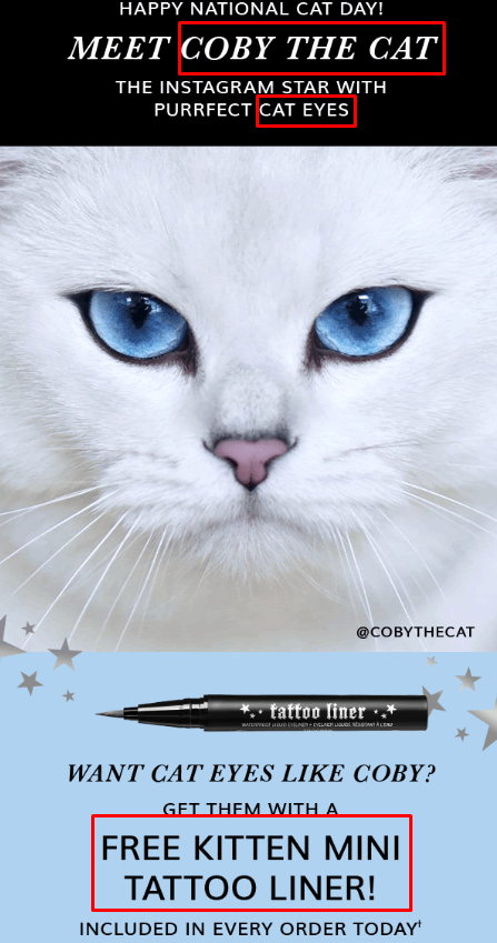 Email Deliverability Tips That'll Get You In the Right Inbox