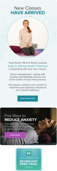 Emails sent by gyms, fitness & workout professionals